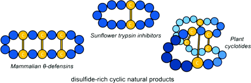 Molecular grafting of macrocyclic disulfide-rich peptides | LifeTein ...