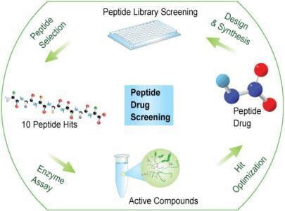 Epitope mapping using synthetic peptides | LifeTein Peptide Blog