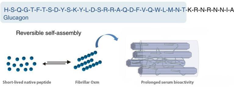 peptide assembly | LifeTein Peptide Blog