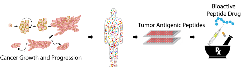 Peptide chemistry toolbox for therapeutics | LifeTein Peptide Blog