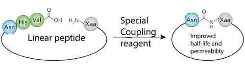Strategies for peptide macrocyclization: head to tail cyclization ...