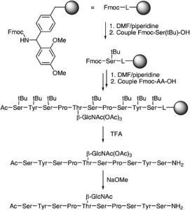 Peptide Synthesis Service-Glycosylation | LifeTein Peptide Blog