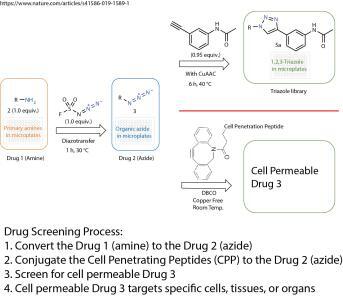 drug-screening-process | LifeTein Peptide Blog