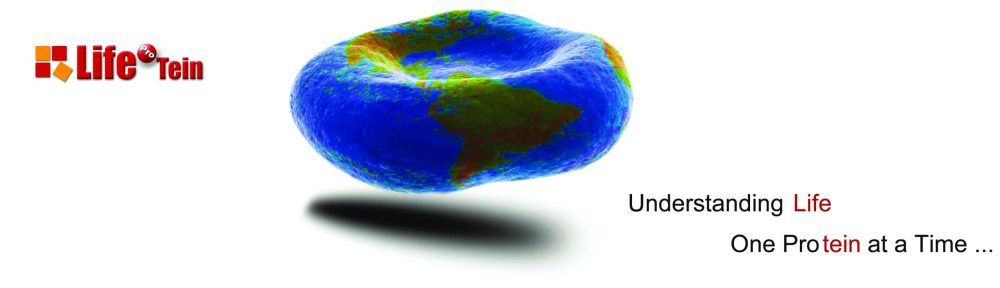 DBCO-azide | LifeTein Peptide Blog