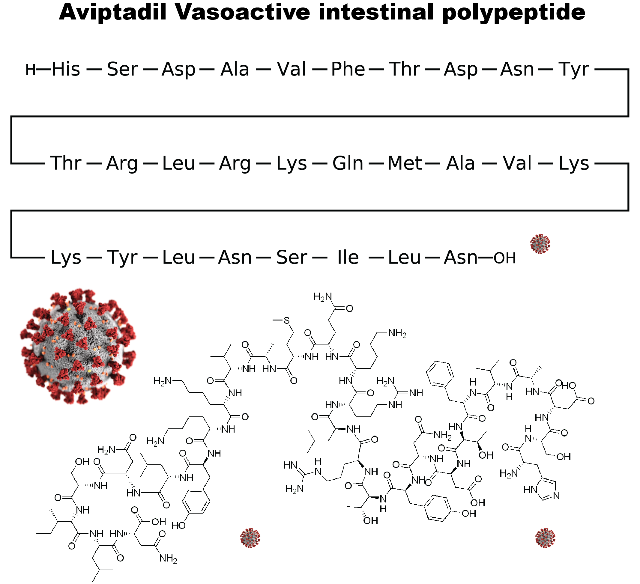 VIP-Peptide-2 | LifeTein Peptide Blog