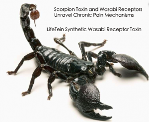 Discover How LifeTein’s Synthetic Scorpion Toxin Peptides Advanced ...