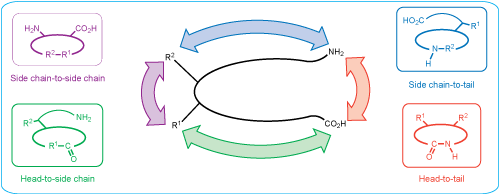 Custom cyclic peptide synthesis with disulfide bond